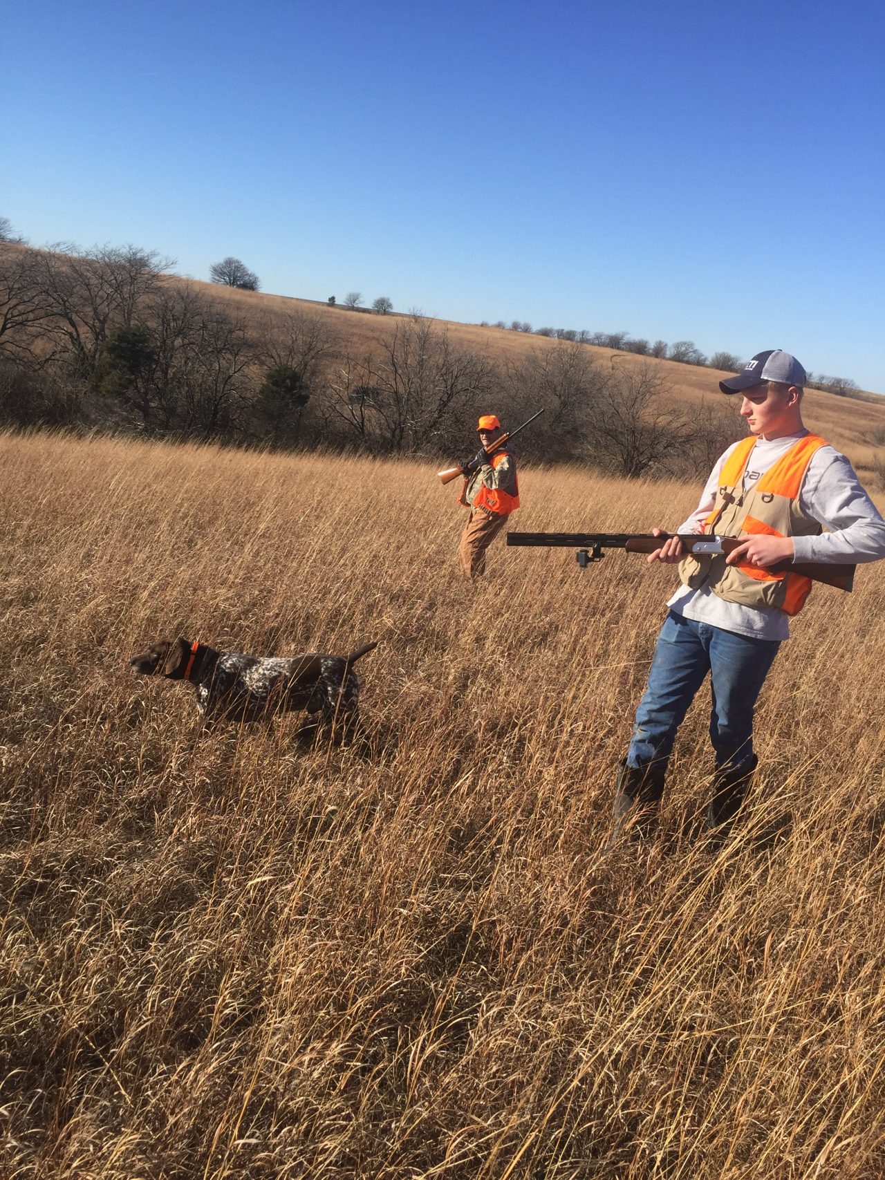 Walker Gamebirds & Hunting Preserve | Kansas Upland Hunting & Gamebird ...