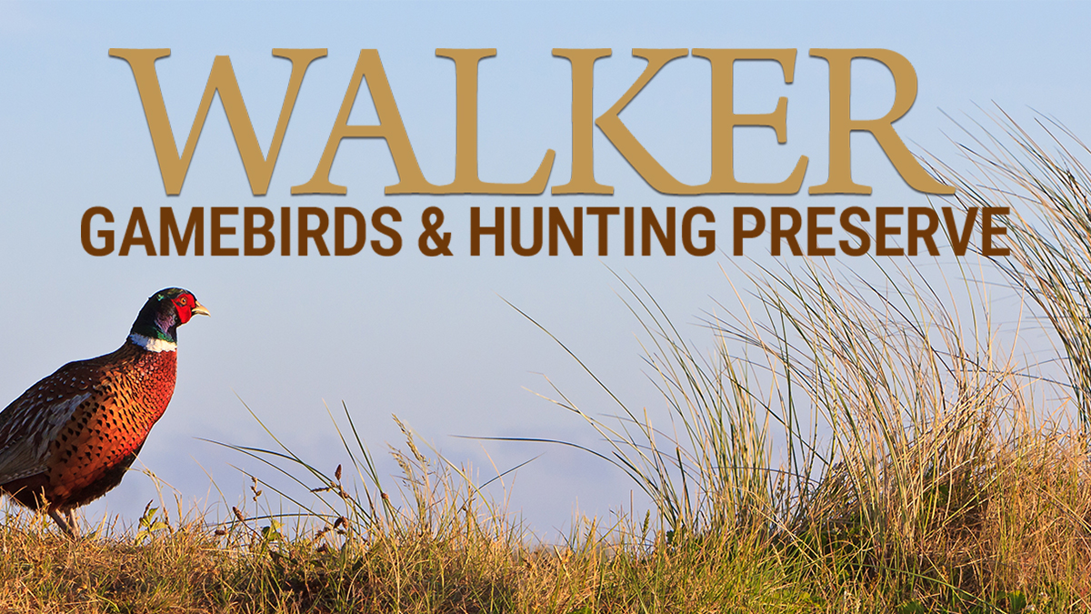 Walker Gamebirds & Hunting Preserve | Kansas Upland Hunting & Gamebird ...